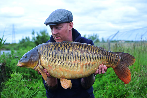 Proper Carp Baits - Boilies / Hard Hookbaits / Pop-Ups / Dips / Liquids