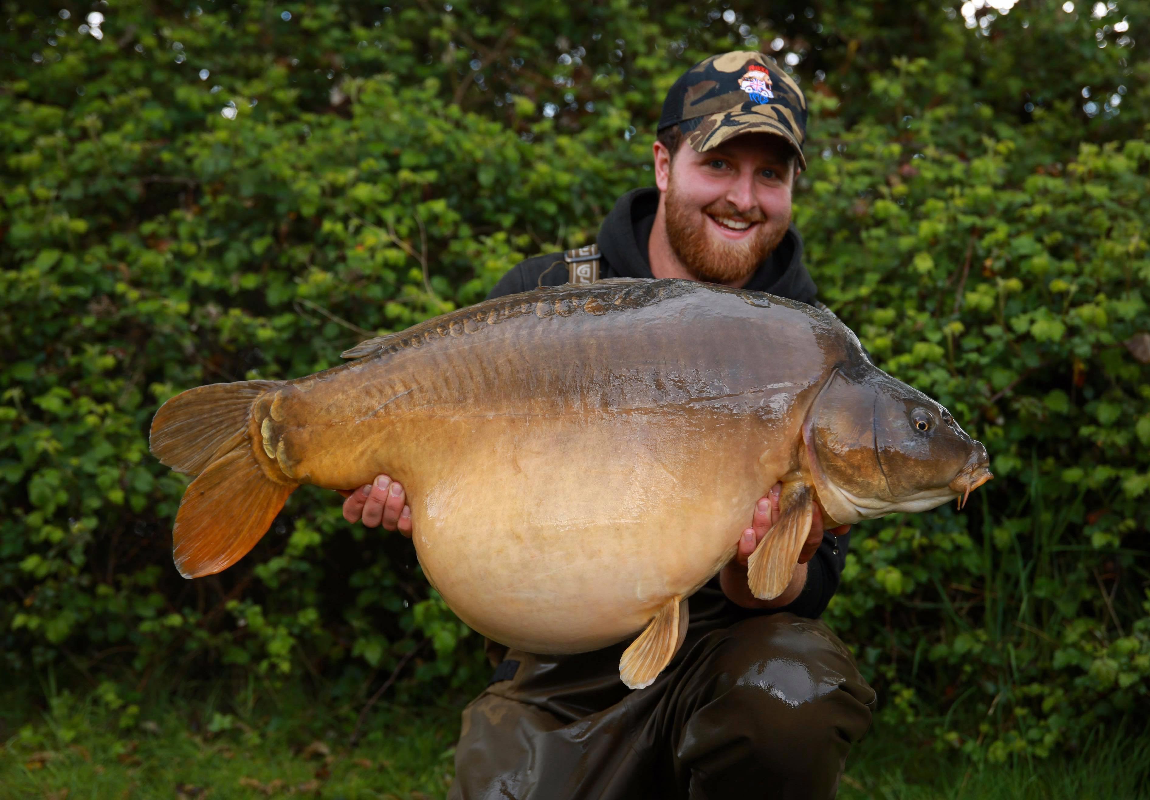 Proper Carp Baits - Boilies / Hard Hookbaits / Pop-Ups / Dips / Liquids